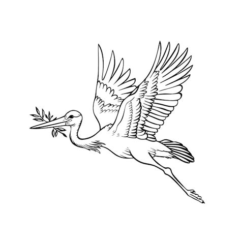 Premium Vector Showing Simple Line Drawing Of An Outline Stork