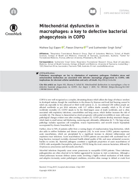 Pdf Mitochondrial Dysfunction In Macrophages A Key To Defective