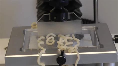 Texture Analyzer Sms Texture Analyzer Trader Wholesaler