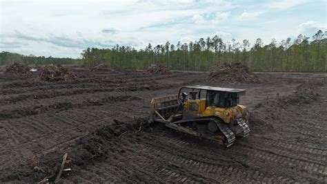 Understanding Land Clearing Techniques And Methods