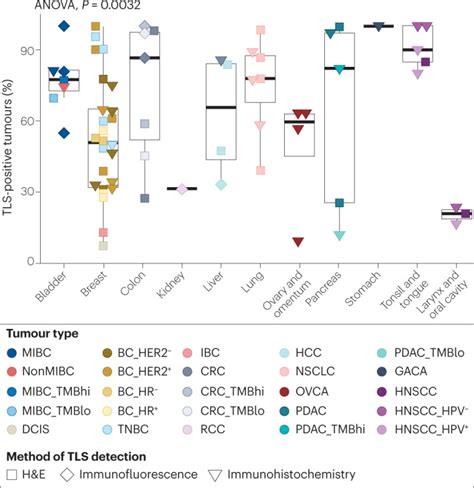 The Roles Of Tertiary Lymphoid Structures In Chronic Diseases Pmc