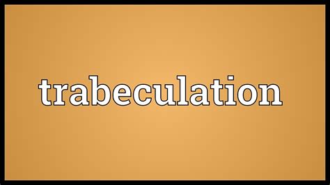 Trabeculation Meaning Youtube