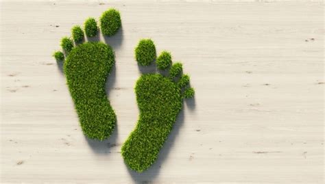 Nu Wool Co Inc Premium Cellulose Insulation