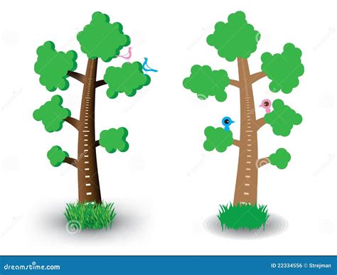 Tree Progress Stock Illustration Illustration Of Wood 22334556