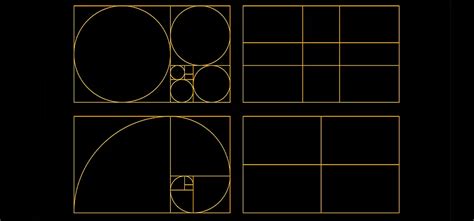 Balaziuss Highlights On Golden Ratio A Beginners Guide Adobe Glasp