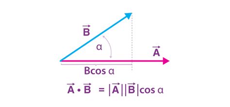 Product Of Vectors Class 12 Mathematics Notes Exercise 91 Webnotee