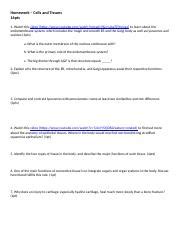 Cells Tissues WS Pdf Homework Cells And Tissues Pts Watch This Video Https