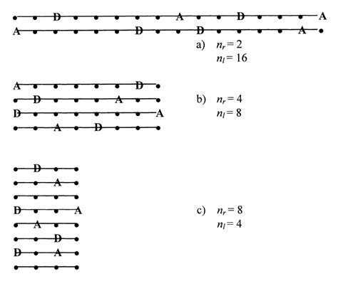 effect of adsorption row size linear lattice on distribution of