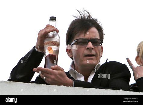 Charlie Sheen Tiger Blood