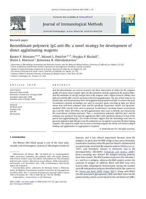 Pdf Recombinant Polymeric Igg Anti Rh A Novel Strategy For