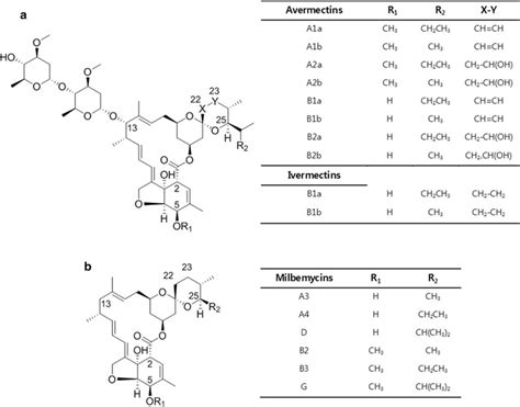 Engineered Biosynthesis Of Milbemycins In The Avermectin High Producing