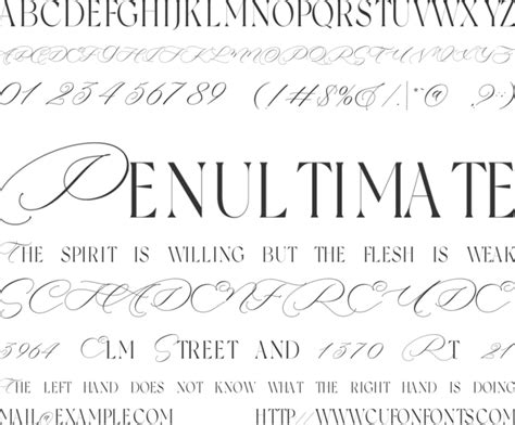 Mocha Font Download Free For Desktop And Webfont