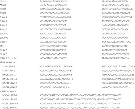 Primer Sirna And Shrna Used In This Study Download Scientific Diagram