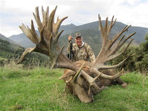New Zealand Red Stag Hunting South Pacific Safaris