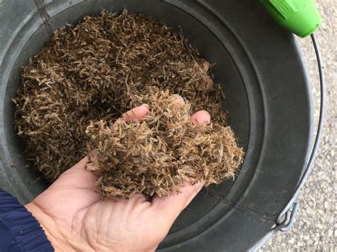 Mt Cuba Center Propagation Workshop Expand Your Garden With Seeds