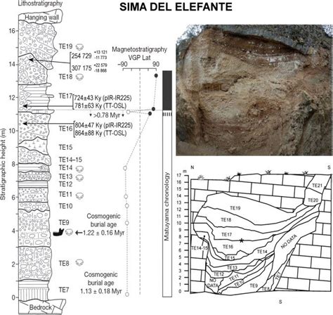 Paleoantropología Hoy Sierra De Atapuerca Atapuerca Evolución