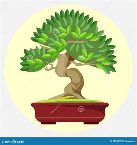 Bonsai Japanese Art Form Using Trees Grown In Container Vector Stock Vector Illustration Of