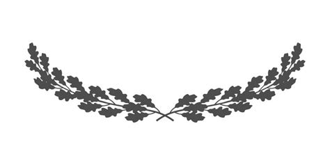 Eichenlaub Bilder Stock Fotos And Videos Adobe Stock