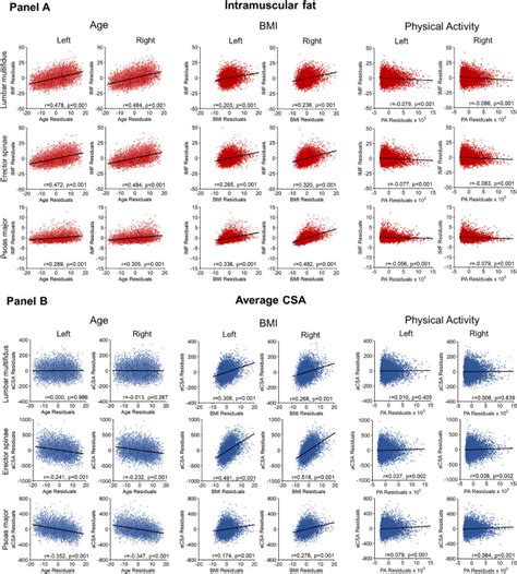 Investigating The Associations Between Lumbar Paraspinal Muscle Health And Age BMI Sex