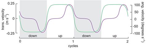 Interpolation How To Approximate The Data Curve With A Function