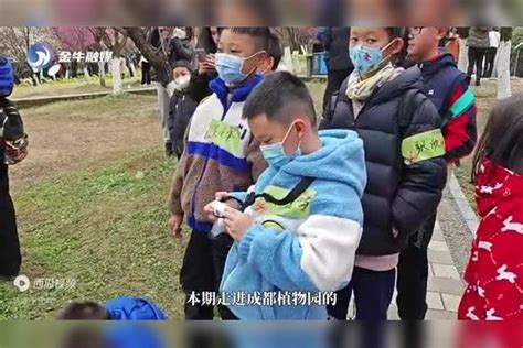 “小小文化志愿者”研学营 我与万物共生长