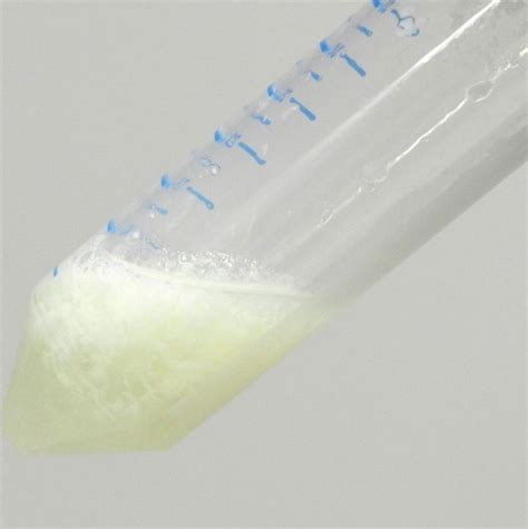 Presto™ Mini Plasmid Extraction Kit Dna Cloning Service