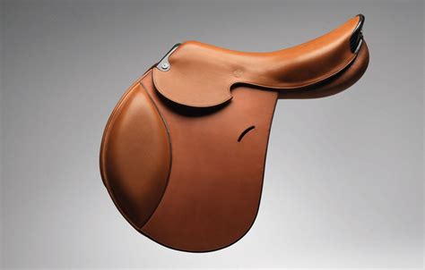 Hermes Saddle Review At Angela Lewandowski Blog