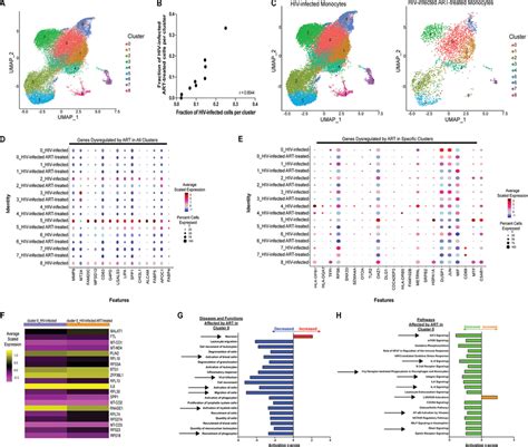 Art Dysregulates Genes Within Monocyte Clusters Modulating Monocyte Download Scientific