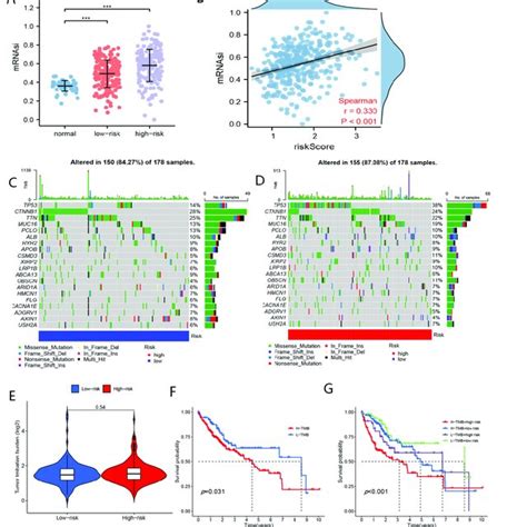 Stemness Index And Somatic Mutation Analyses A Comparison Of Mrnasi