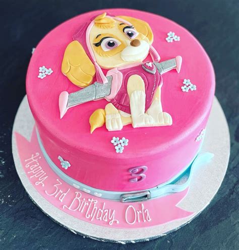Paw Patrol Skye Cake Cake Paw Patrol Birthday Desserts