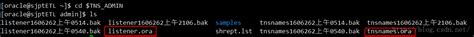 Oracle Tns监听探讨虚拟机 Tns监听程序 Csdn博客