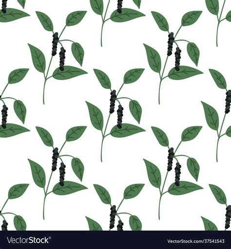 Seamless Black Pepper Royalty Free Vector Image