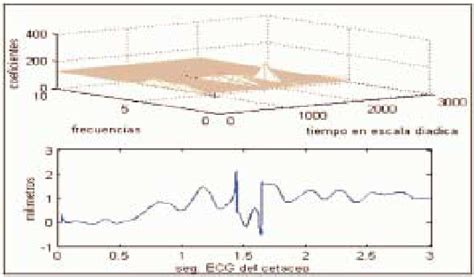 Transformed 3d Wavelet Applied To A Cetacean Ecg Segment A Similar Download Scientific Diagram