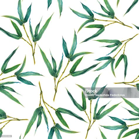녹색 대나무 가지가 있는 완벽 한 패턴입니다 흰색 고립 된 배경에 녹색 잎의 손으로 그린 그림입니다 카드 포장지 벽지 섬유 직물 인쇄 커버 배너 디자인 0명에 대한 스톡