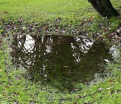 Ponding Water In Your Garden Or Drive What Causes It And How To Fix It