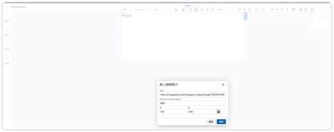 Bug 富文本组件中添加图片超链接图片加载不出来 · Issue 4888 · Dataeasedataease · Github