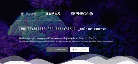Curso Online «multivariate Eeg Analyses Sepex