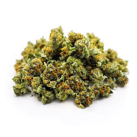 Small Buds Cbd Greenhouse Pas Cher｜promotions