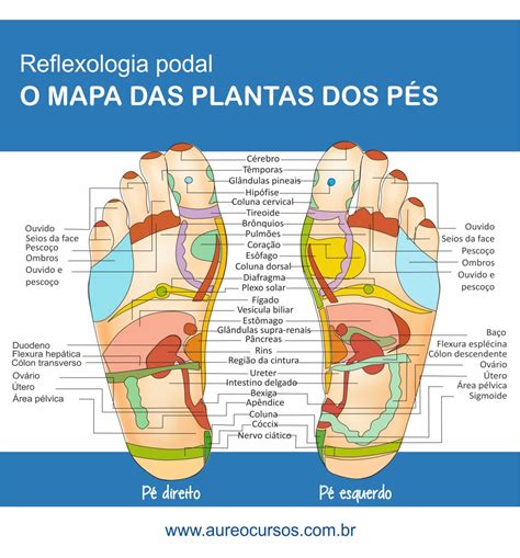 Áureo Cursos Fotografia Reflexologia Podal Reflexologia Pés