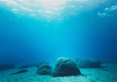 Deep Sea Influences Pathways Of Pollution