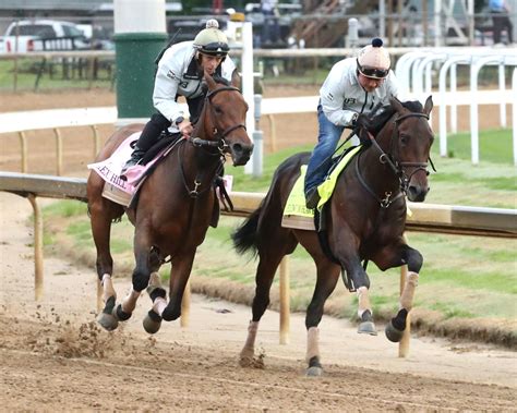 Chunk Of Gold Flying Mohawk Post Final Kentucky Derby Workouts Paulick Report Latest News