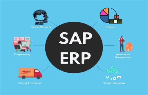 A Beginners Guide To Sap Erp Publicalpha Com