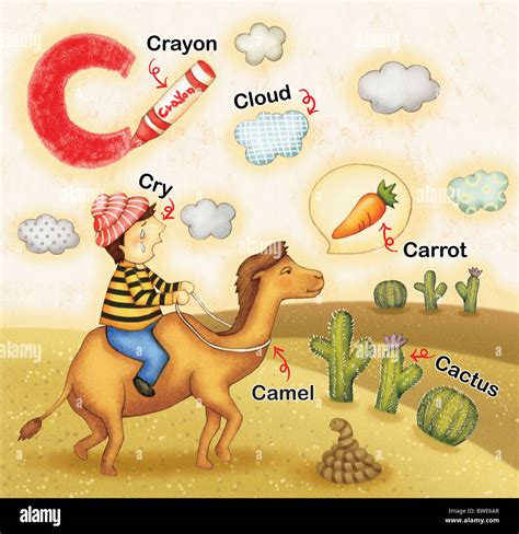 Alphabet C Study With Illustration And Words Stock Photo Alamy