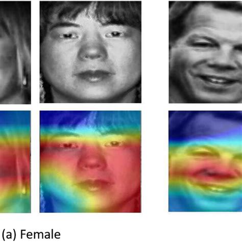 Grad Cam Visualization Of Different Gender Classes Download Scientific Diagram