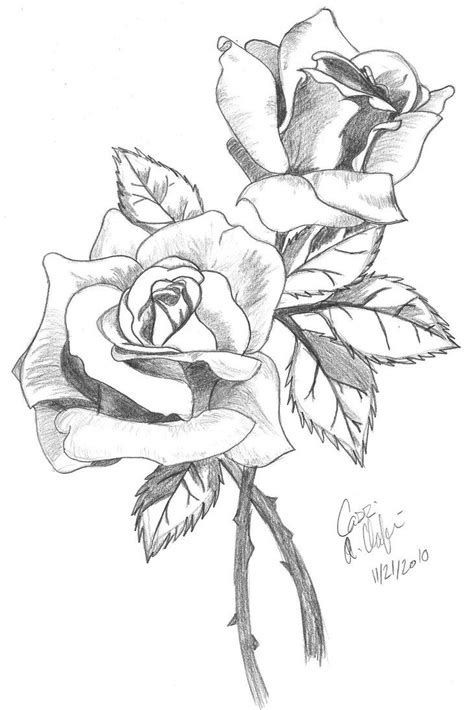 A Pencil Drawing Of A Rose Warehouse Of Ideas