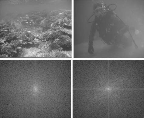 The Original Images Are Shown In The First Row And The Frequency Shift Download Scientific