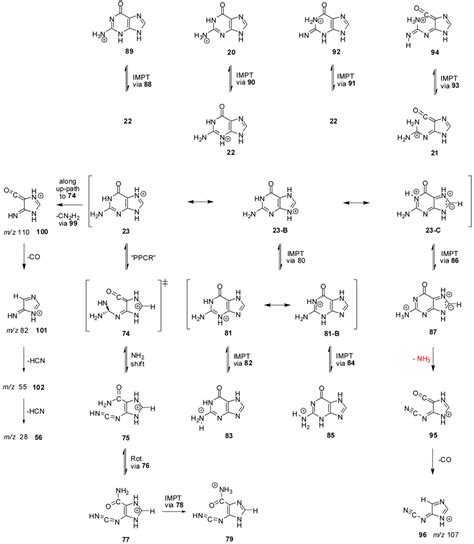 Scheme 6 Fragmentation Paths Of Protonated Guanine [2h H] Download Scientific Diagram