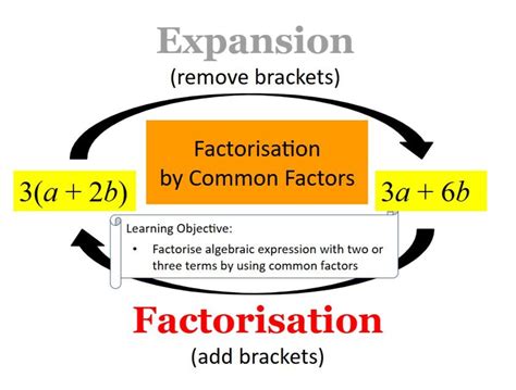Factorisation By Common Factors Worksheet And Solutions Etsy