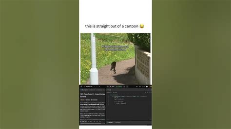 Day 44 100 Day Leetcode Challenge Deadpool Codes Code Leetcode