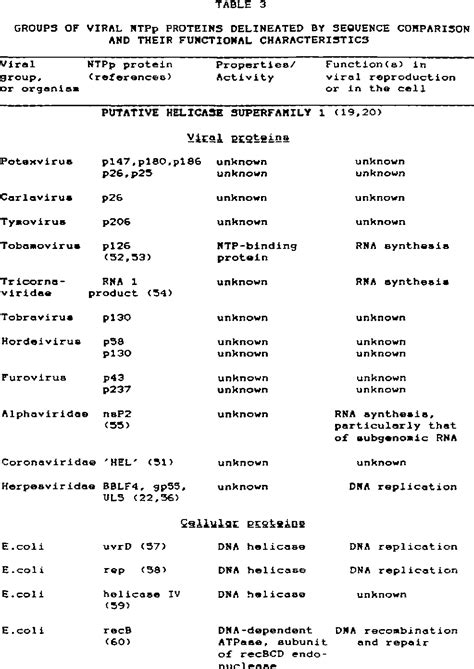 Figure 1 From Viral Proteins Containing The Purine Ntp Binding Sequence